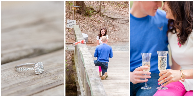 Crystal & Drew | Noland Trail Engagement Proposal | Virginia Wedding ...